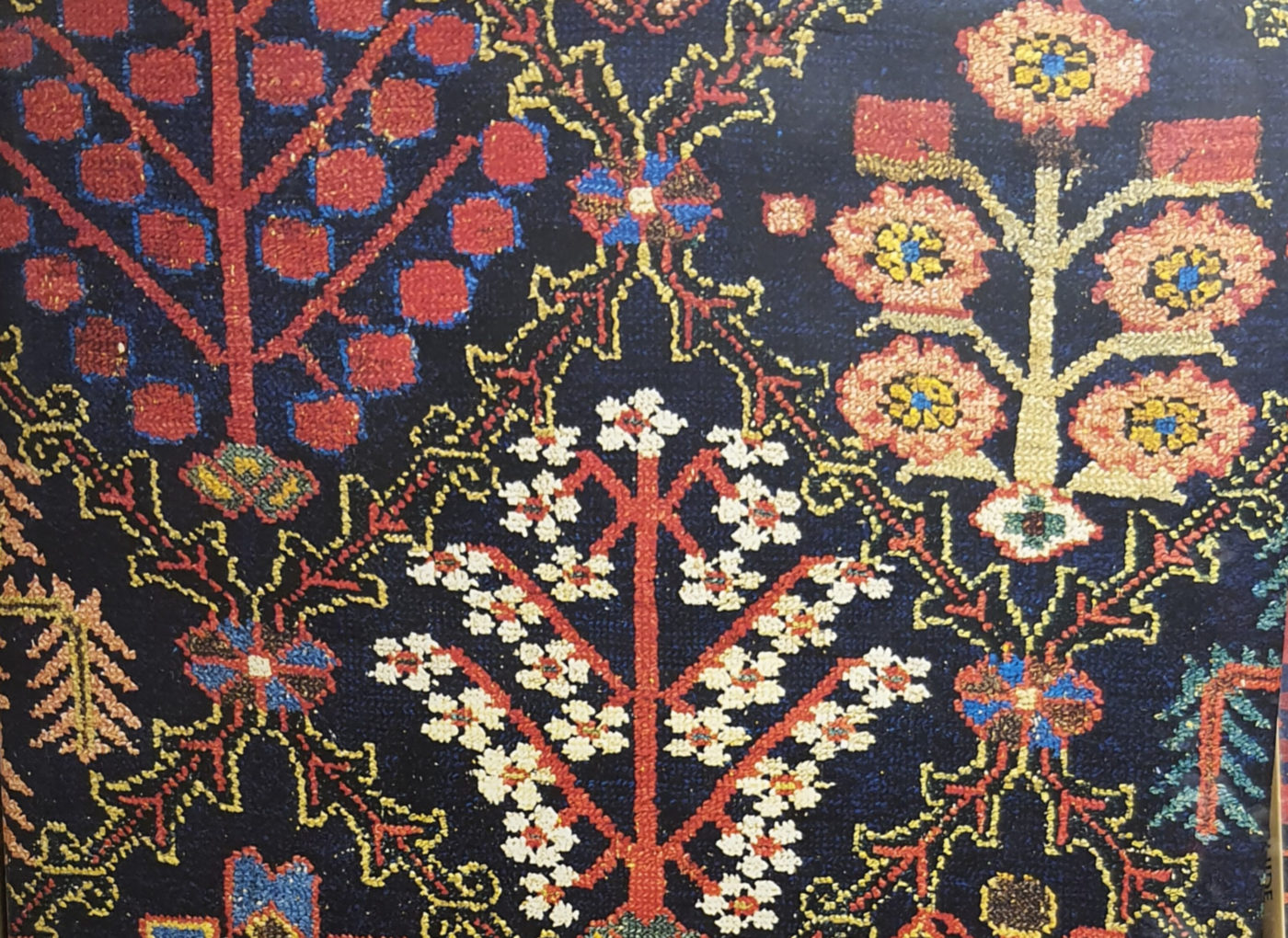 گۆڕانی بنەمایی – کوردیا