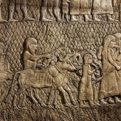 کوردیا – کوردستان | کوردیا | Kurdistan | Kurdia